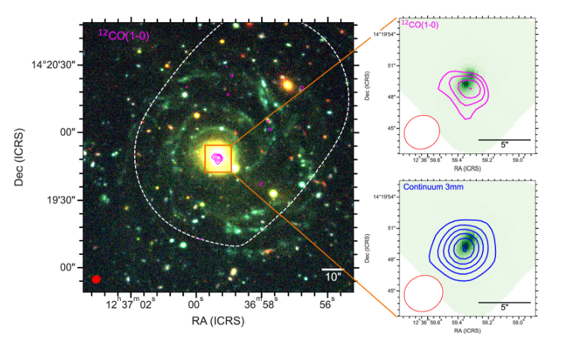 Discovery of molecular gas in the giant galaxy Malin 1 for the first ...